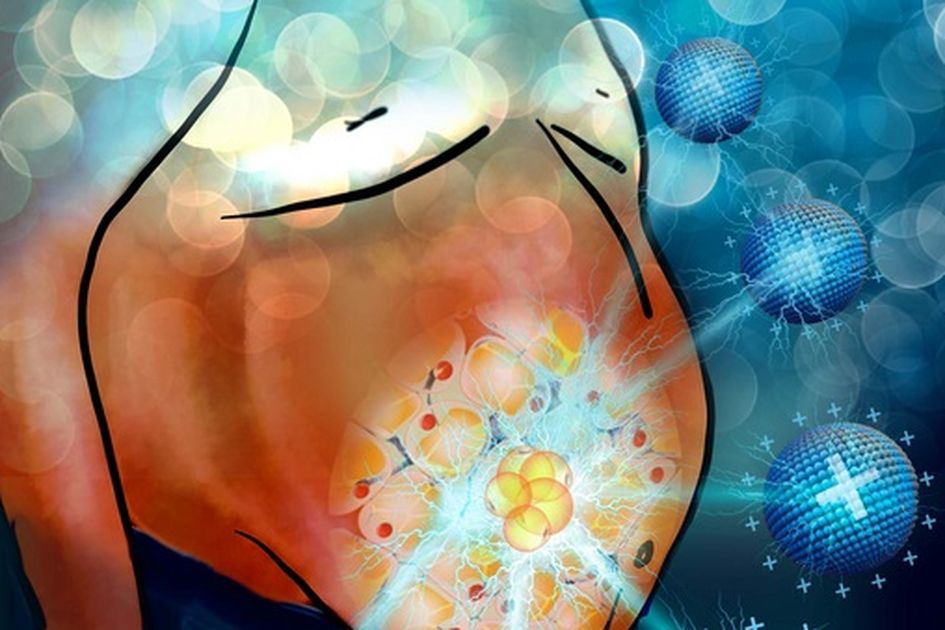 Berita Jaringan Adiposa Terbaru Hari Ini - National Geographic