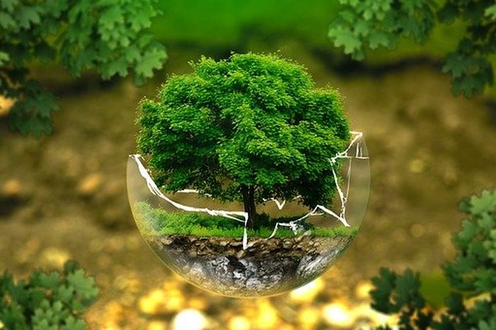 4 Cara Menjaga Bumi Tetap Lestari, Salah Satunya Berbelanja Seperlunya ...