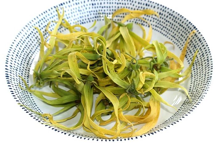 Bukan Hanya untuk Hiasan di Rumah, Bunga Kenanga Ternyata Juga Memiliki ...