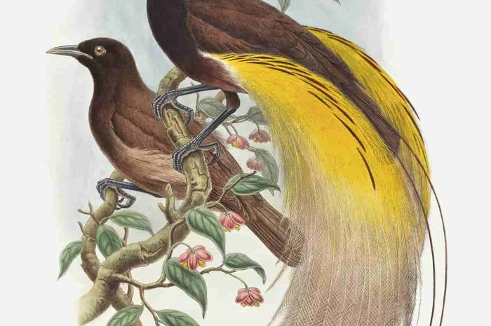 Mitos Kuda Sembrani, Hewan Mitologi Nusantara Peliharaan Para Raja # ...