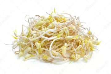 Berita Bahaya Tauge Mentah Terbaru Hari Ini - Grid.ID