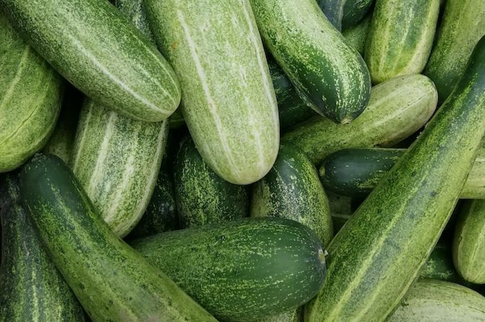 Tetap Segar dan Tak Mudah Busuk, Ini 6 Cara Memperpanjang Masa Simpan ...