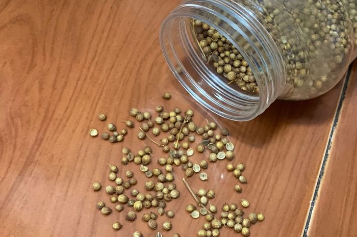 Rutin Minum Air Rebusan Ketumbar, Tak Disangka Perempuan Ini Rasakan ... Rutin Minum Air Rebusan Ketumbar, Tak Disangka Perempuan Ini Rasakan ...