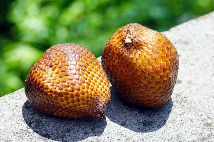 Langsung Borong Kalau Lihat Di Pasar, Makan Salak Ternyata Bisa ...