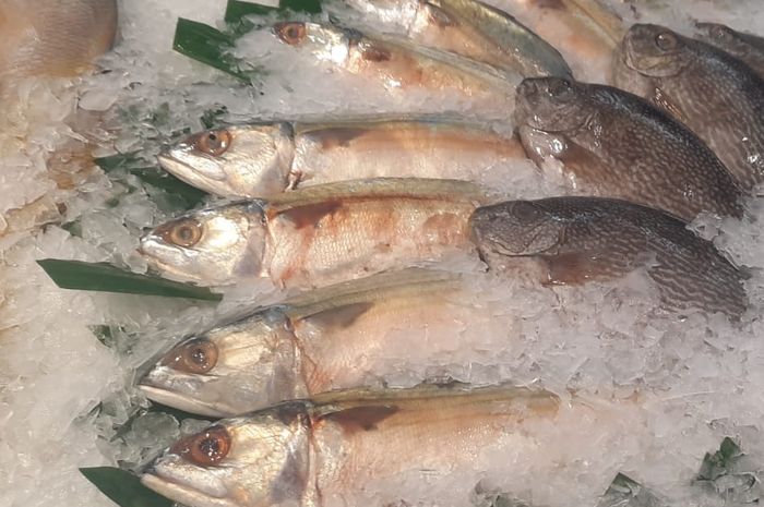 Jangan Langsung Dimasukkan, Begini Cara Simpan Ikan di Kulkas Supaya ...
