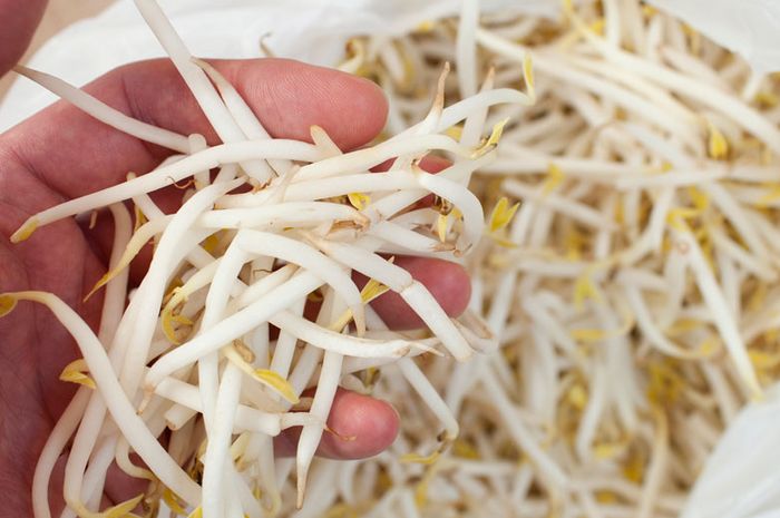 Untung Mertua Kasih Tahu, Begini Cara Cepat Kupas Akar Taoge Tanpa ...