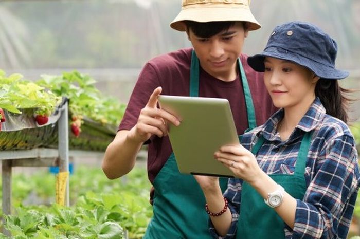 Cara Daftar Jadi Petani Milenial, Penghasilan Bisa 2 Digit per Bulan - Nakita