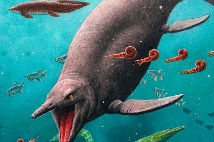 Fosil "Naga Laut" Ichthyosaurus Ditemukan di Pulau Arktik Spitsbergen ...